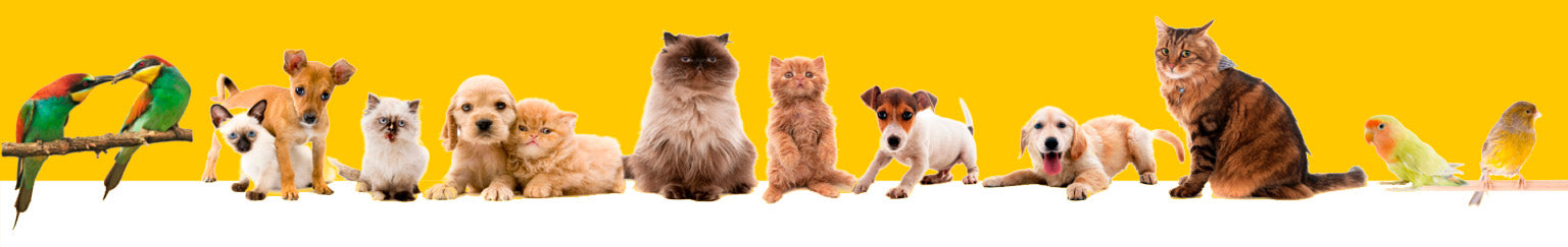 CAT BUFFET CAMPESTRE GATOS 20 kg. – Fonocan